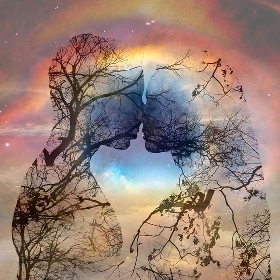 How Get Closer To The Soulmate Twin Flame Reunion How Get Closer To The Soulmate Twin Flame Reunion